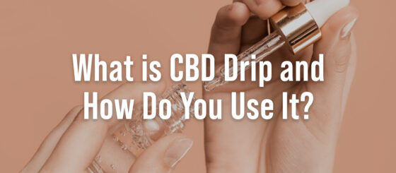 What is CBD Drip and How Do You Use It? - CBD.co