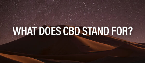 What Does “CBD” Stand For? - CBD.co