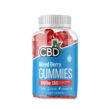 CBD Gummies - Original Mixed Berry - CBDfx